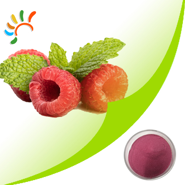 Freeze dried raspberry powder supplier - HappyLife